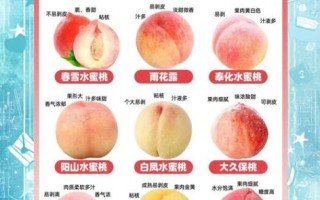 桃子的功效与作用_桃子营养价值高吗