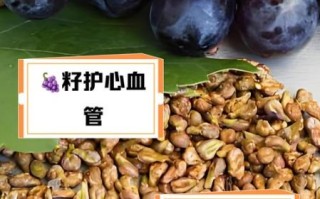 葡萄籽的功效与作用_葡萄籽的禁忌人群有哪些