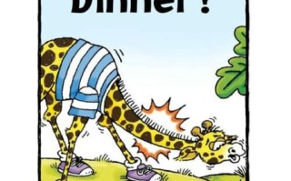 what_to_cook_for_dinner_tonight_easy