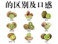 猕猴桃的功效与作用_猕猴桃能减肥吗