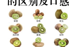 猕猴桃的功效与作用_猕猴桃能减肥吗 猕猴桃的功效与作用_猕猴桃能减肥吗