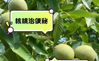 鲜核桃有毒吗_鲜核桃生吃安全吗