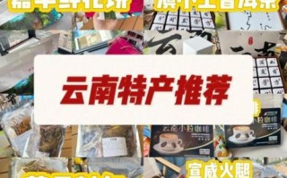 云南师大特产有哪些_师大校园伴手礼推荐