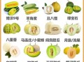 甜瓜和香瓜的区别_哪个更甜更好吃