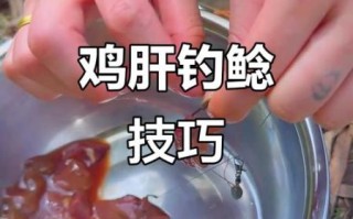 鸡肝钓鱼怎么挂钩不烂_鸡肝挂钩技巧