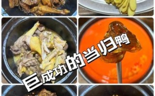 番鸭的做法大全_番鸭怎么炖才好吃