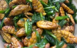 韭菜炒蚕蛹怎么炒_蚕蛹炒韭菜的家常做法
