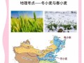麦子什么时候种_麦子种植方法
