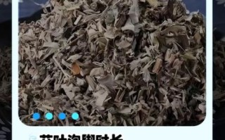 艾草泡脚的功效与作用_禁忌有哪些