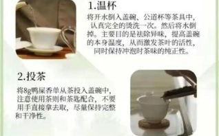 鸭屎香是什么茶_鸭屎香怎么冲泡