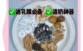 通草怎么吃下奶快_通草下奶的正确吃法