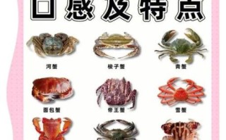 螃蟹种类有哪些_如何区分常见蟹类