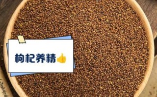 补肾壮阳泡水喝什么最好_如何泡制最有效