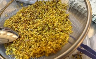 桂花直接晒干还是蒸过再晒干_哪种做法更香