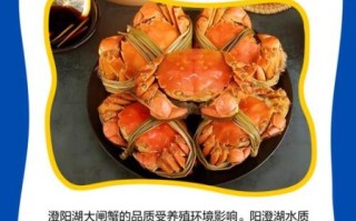 阳澄湖大闸蟹几月份最肥_什么时候吃最好