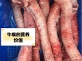 牛黄喉是牛的哪个部位_牛黄喉和牛肚区别