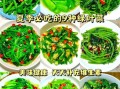 绿叶菜怎么炒好吃_绿叶菜的做法大全