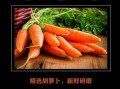 胡萝卜粉的功效与作用_胡萝卜粉怎么吃效果最好