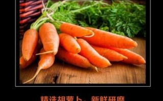 胡萝卜粉的功效与作用_胡萝卜粉怎么吃效果最好