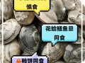 吃花蛤不能和什么一起吃_花蛤与哪些食物相克