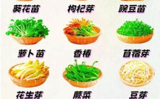 野菜图片大全及名字_图库怎么吃