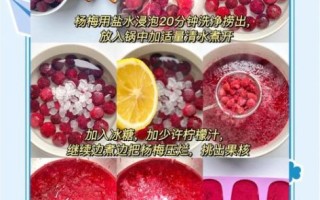 冰杨梅怎么做_冰杨梅能保存多久