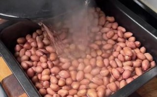 酒鬼花生怎么做_酒鬼花生最简单的做法