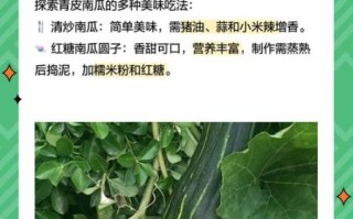 青皮小南瓜怎么挑选_青皮小南瓜营养价值