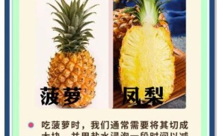 菠萝和凤梨哪个营养价值高_区别在哪里