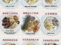 养脾胃吃什么最好_食疗调理方法