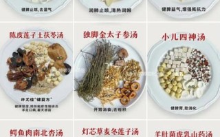 养脾胃吃什么最好_食疗调理方法