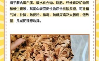 滑子蘑菇的功效与作用_滑子蘑菇怎么吃最营养