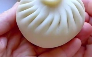 包子怎么包才好看_包子褶子怎么捏才均匀