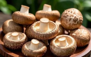 干香菇怎么泡_干香菇泡发多久