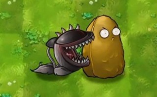 食人花植物大战僵尸怎么打_食人花植物大战僵尸有什么用