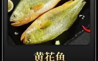 黄鱼视频hy怎么下载_黄鱼视频hy安全吗