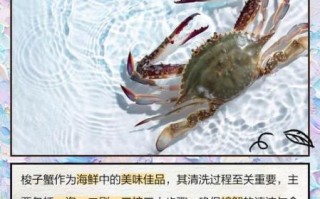 如何清洗螃蟹_螃蟹清洗步骤