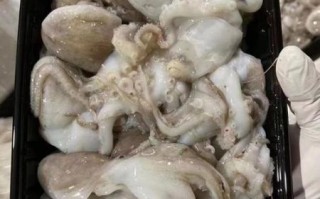 八爪鱼煮多久才熟_如何判断八爪鱼熟透