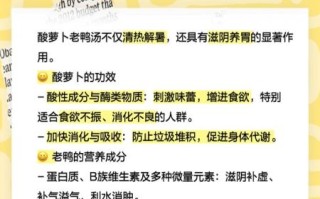 酸萝卜老鸭汤的做法_酸萝卜老鸭汤的功效