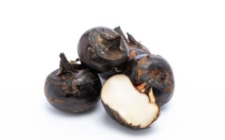 荸荠治痔疮有效吗_怎么用荸荠治痔疮 荸荠治痔疮有效吗_怎么用荸荠治痔疮