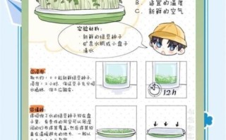 怎么泡绿豆芽_绿豆芽发芽最快方法
