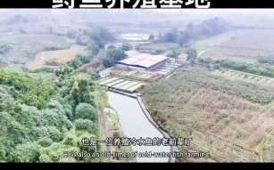 鲟鱼养殖条件_鲟鱼养殖成本是多少