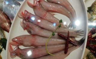 龙头鱼身是什么鱼_龙头鱼身怎么做好吃