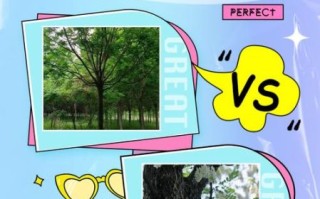 槐树有多少个品种_常见槐树图片怎么区分