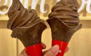 巧克力冰淇淋哪个牌子好吃_巧克力冰淇淋热量高吗