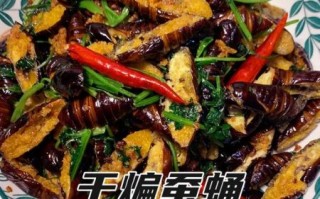 蚕蛹怎么做好吃_蚕蛹做法视频教程
