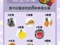 胃不好吃什么水果_哪些水果养胃