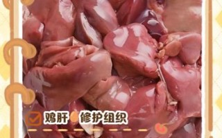 鸡肝热量高吗_减肥能吃吗