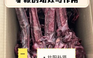 驴鞭怎么吃壮阳效果好_驴鞭壮阳的正确吃法