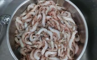 新鲜小活虾米怎么保存_新鲜小活虾米怎么做好吃